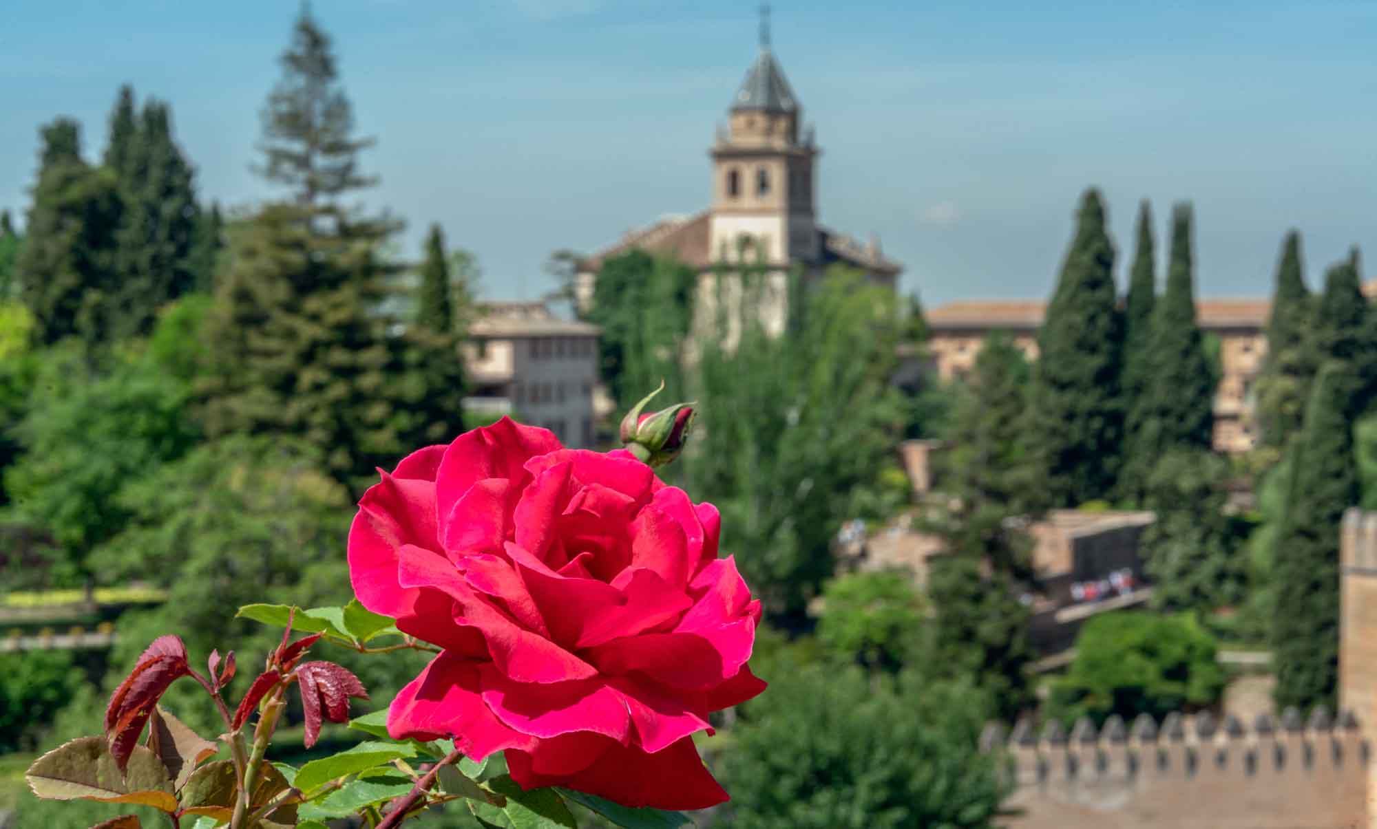Alhambra di Granada - Foto, storia, biglietti e suggerimenti