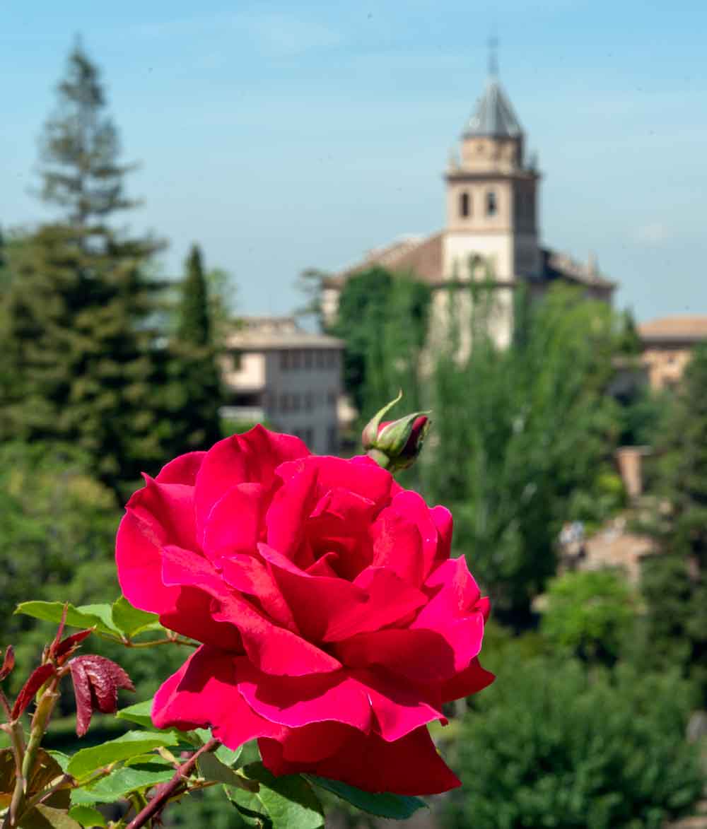 Visita la Alhambra, Granada: Todo lo que necesitas saber 2024